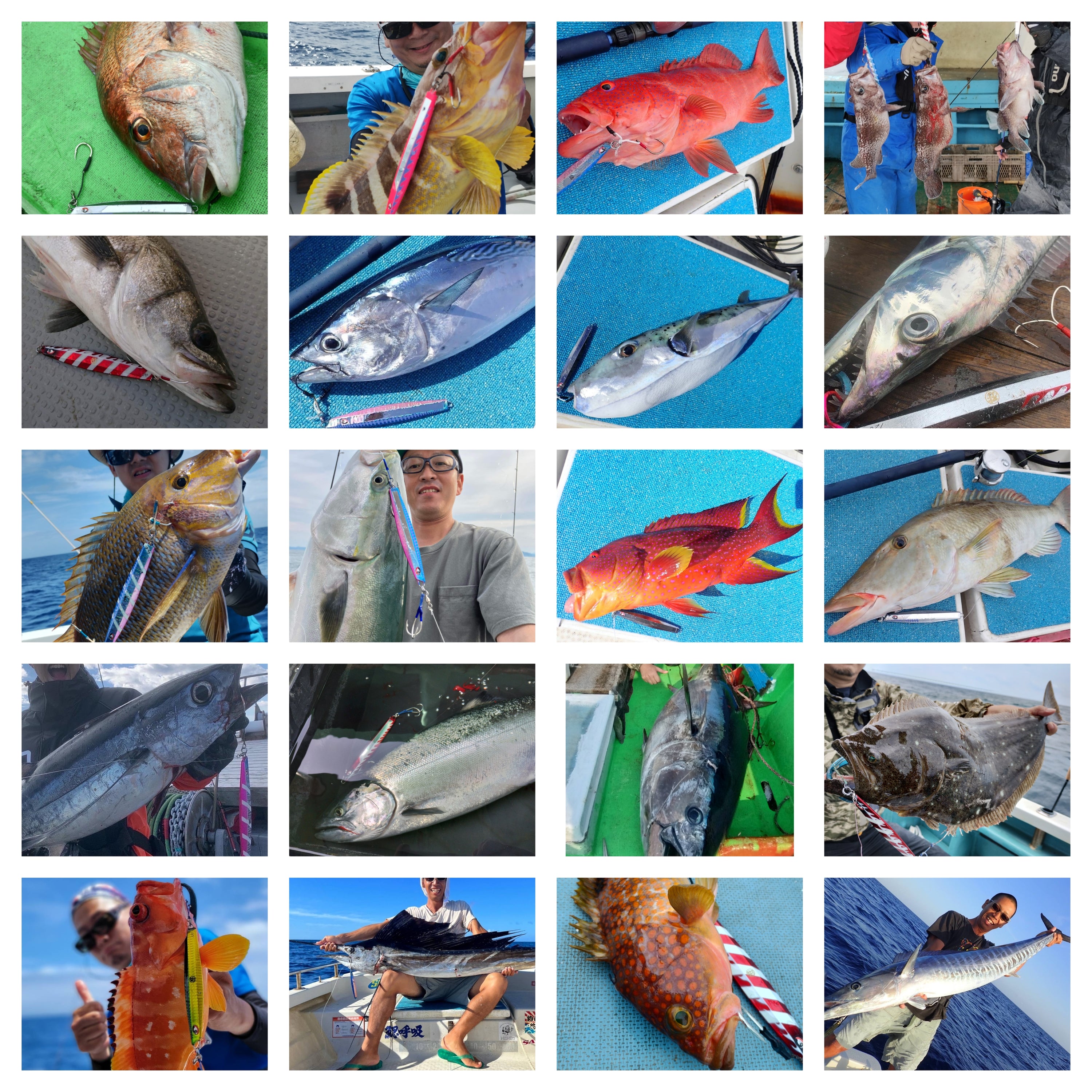 Vajra fishing results list: Currently 103 species – YsGeec